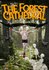 The Forest Cathedral [STEAM / Россия, Весь мир]