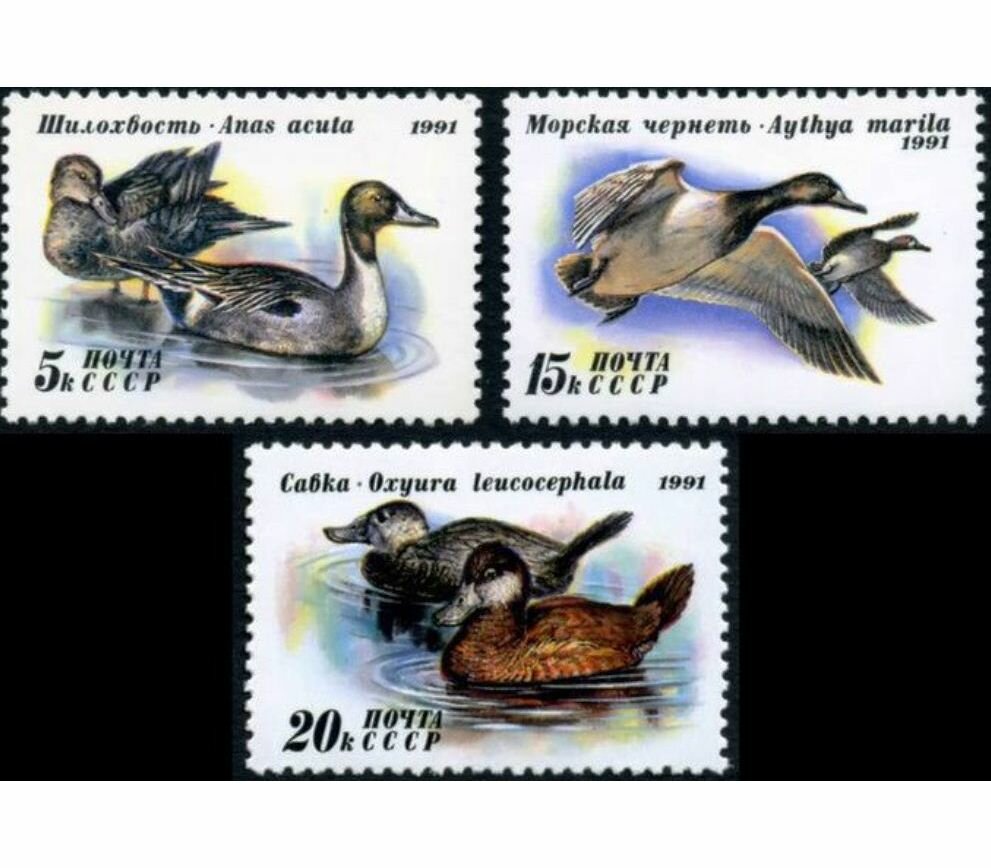 Почтовые марки СССР 1991г. "Утки" Фауна, Птицы, Утки MNH
