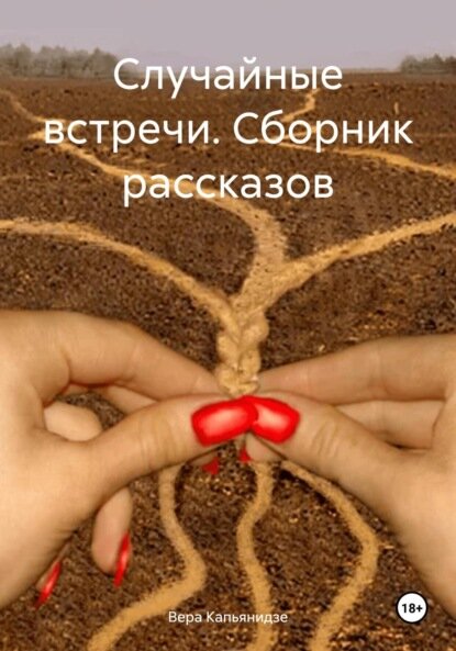 Случайные встречи. Сборник рассказов [Цифровая книга]