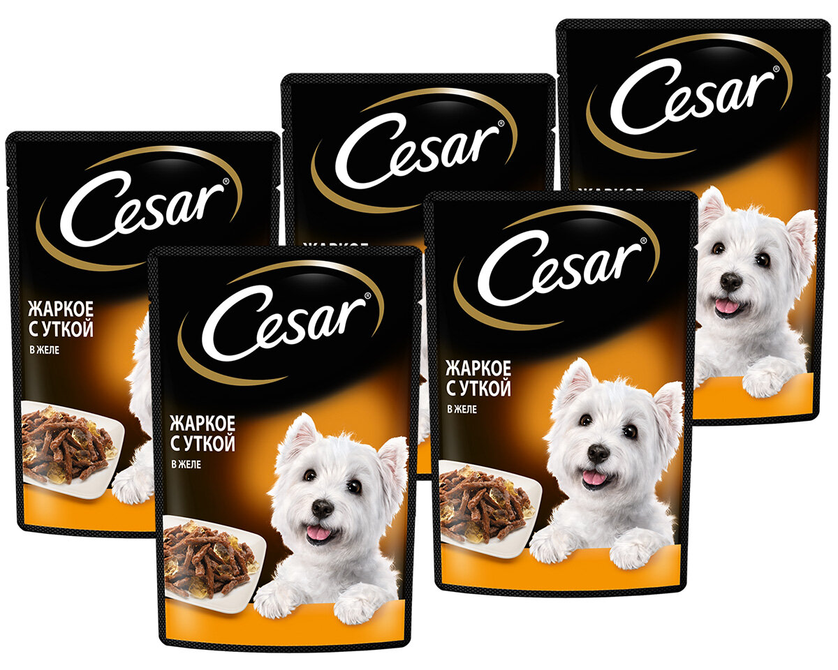 Влажный корм Cesar для взрослых собак маленьких пород жаркое с уткой в желе пауч, 85 гр х 5 шт