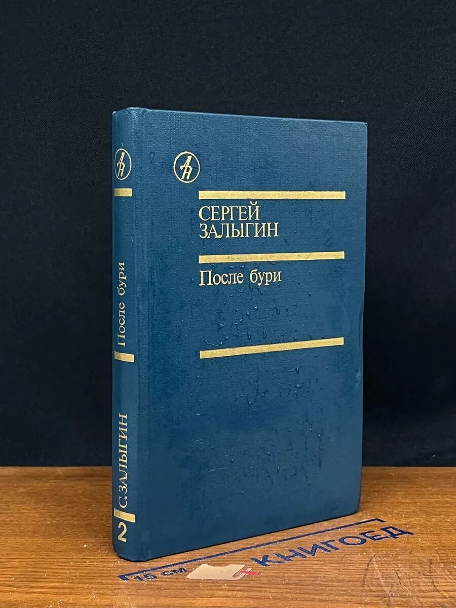 Книга. После бури. Книга вторая 1988 (2040770978343)