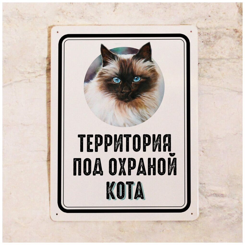 Металлическая табличка на забор Территория под охраной Регдолл кота , идея подарка владельцу кота , металл, 20х30 см