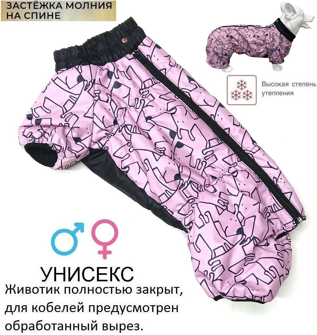 Зимний комбинезон для Корги мембрана (45см )
