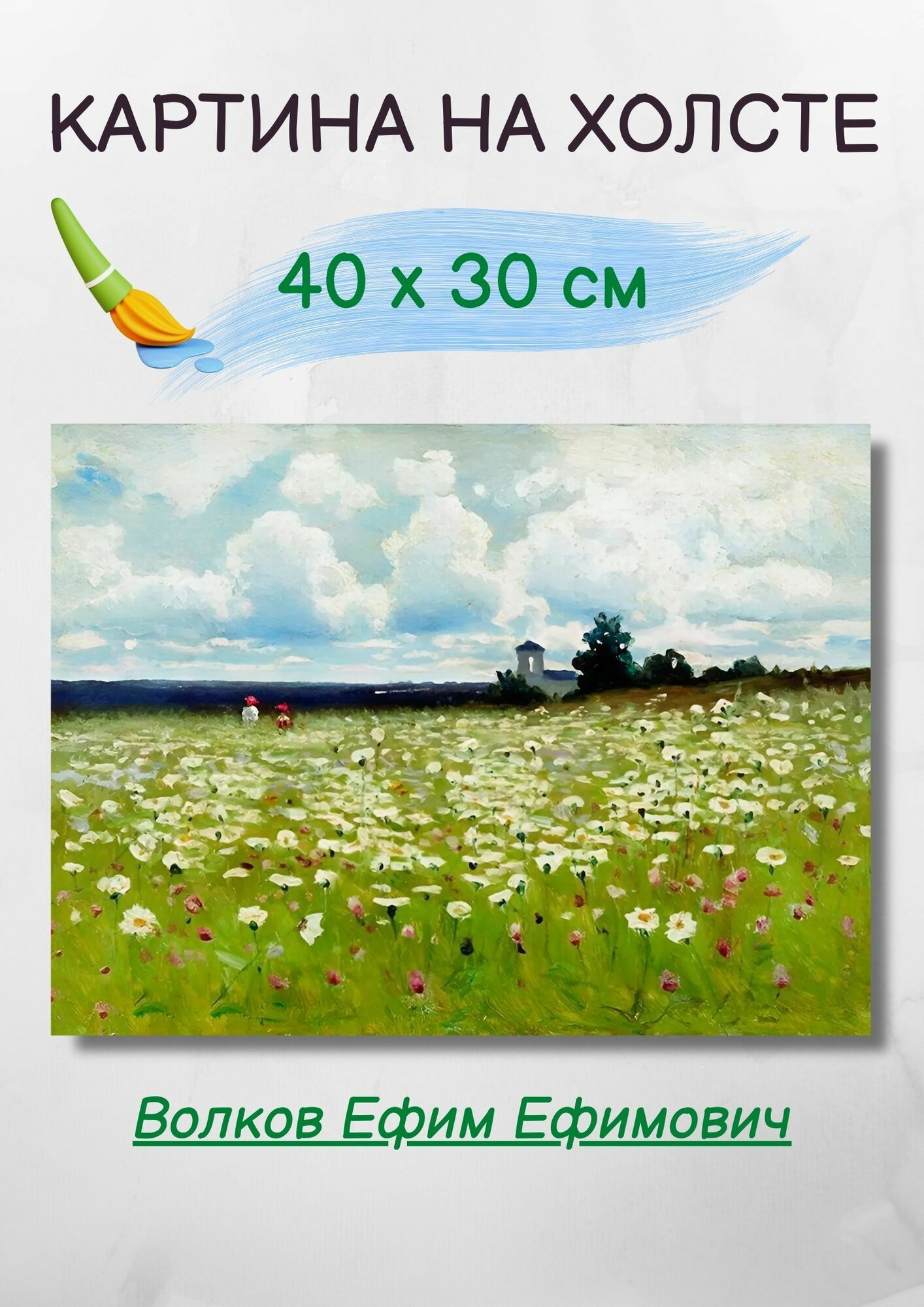 Волков Ефим Ефимович "Поле ромашек" картина на холсте 40х30 см