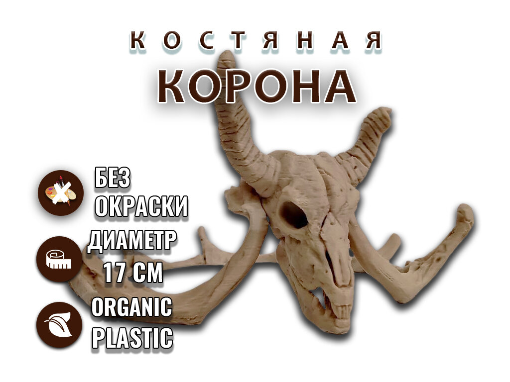 Костяная корона