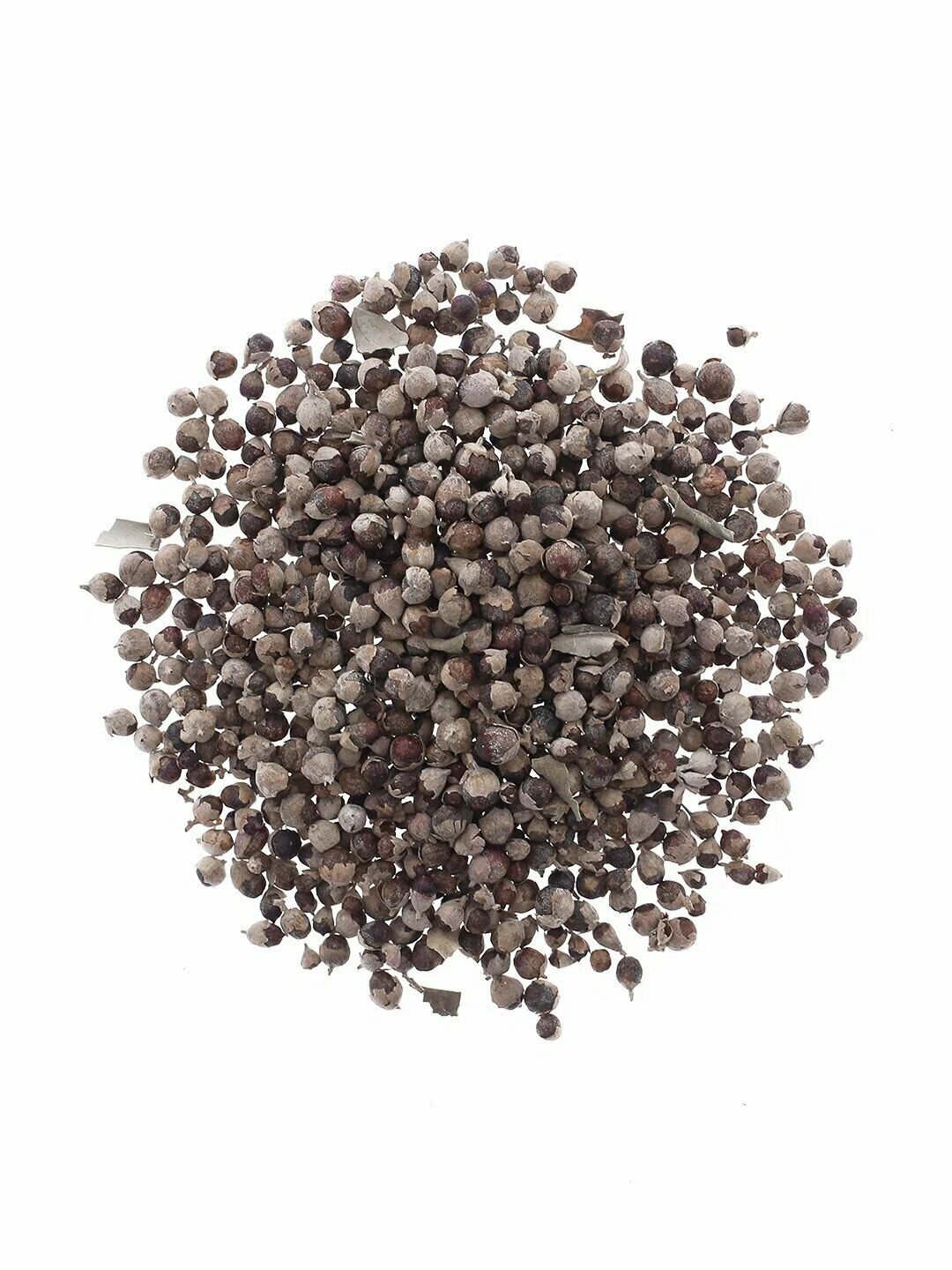 Витекс священный семена 50 шт. В наборе 50 семян для выращивания + Подарок