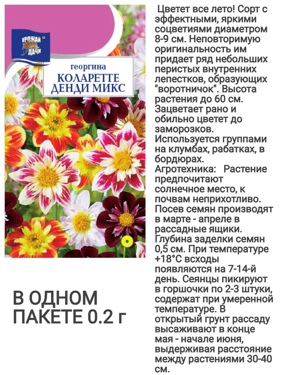 Семена георгинов Урожай Удачи "Каларетте Денди Микс", однолетние, махровые, 3 шт — фото 1