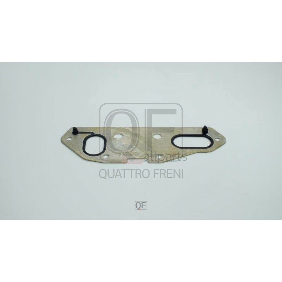 QUATTRO FRENI QF54A00062 Прокладка масляного радиатора