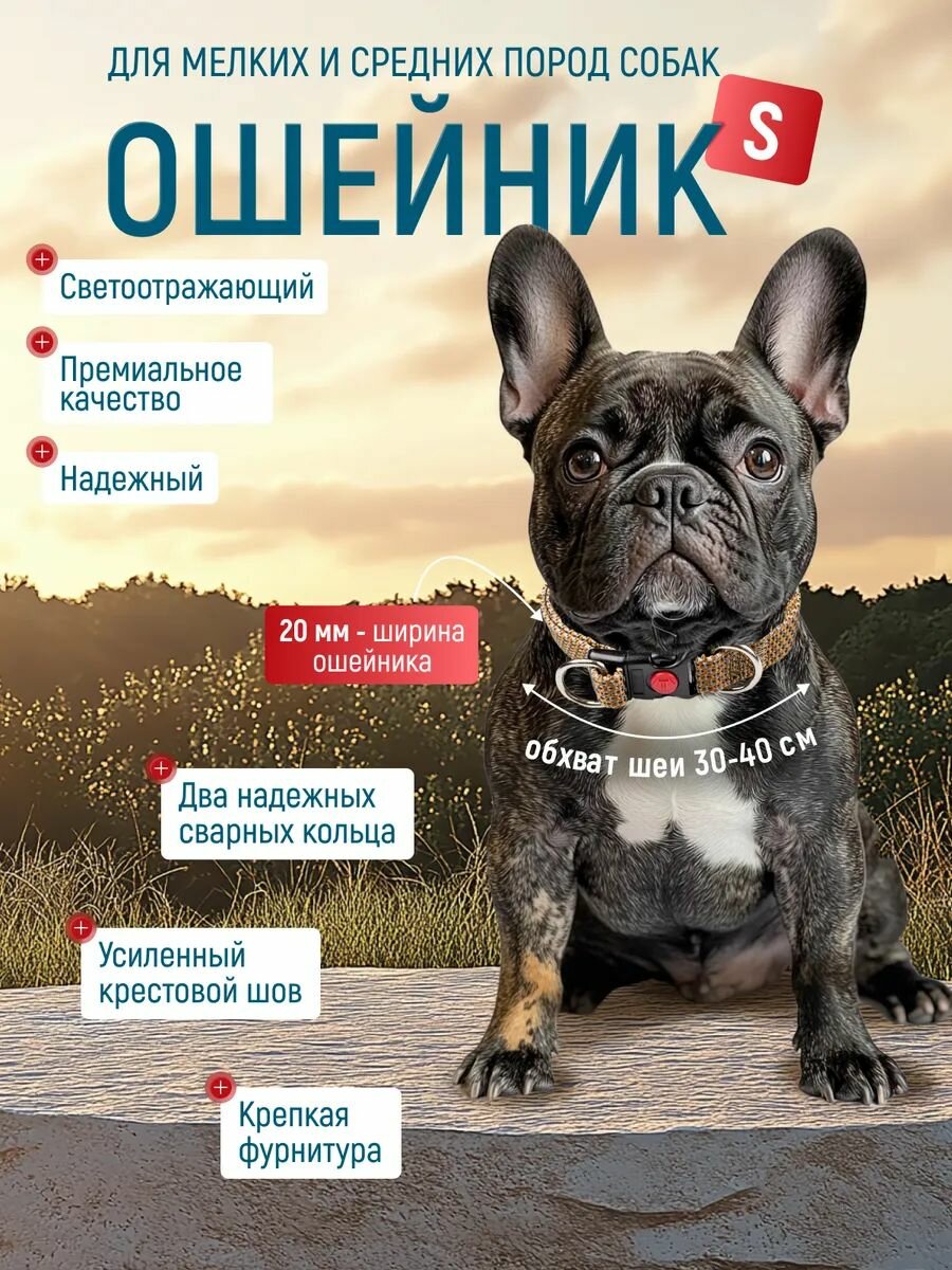 Ошейник для собак мелких и средних пород, S, светоотражающий