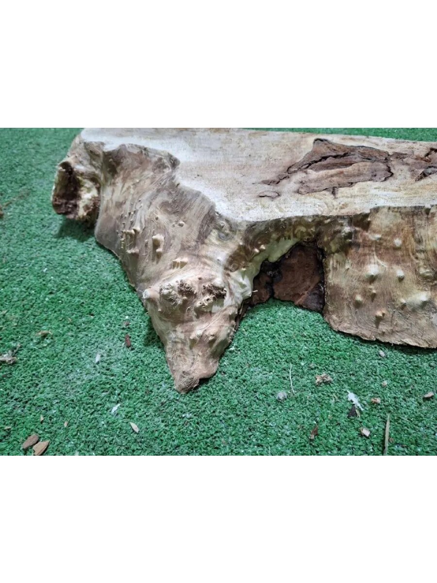 Слэб массив Каповый Тополь (470-260-70мм)