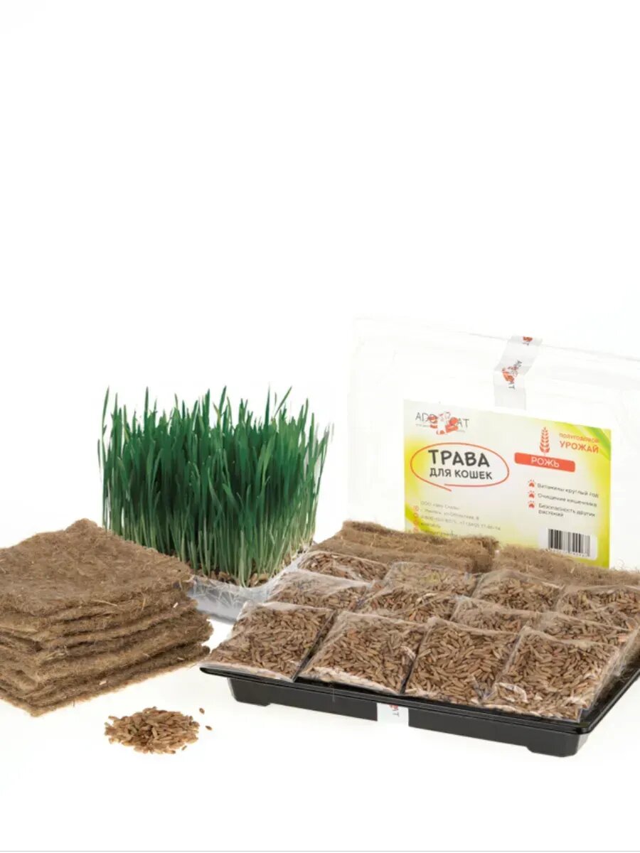Трава для кошек полугодовой запас рожь