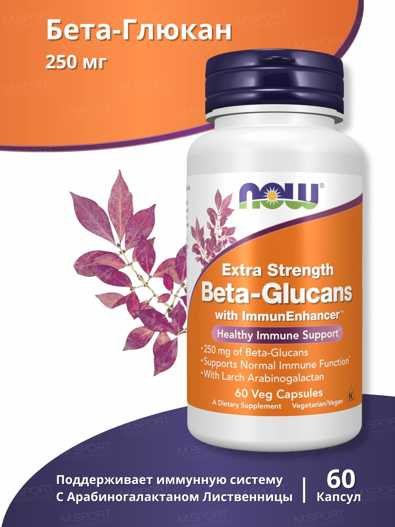 Now Foods Бета-глюкан Beta-Glucans, 60 капсул