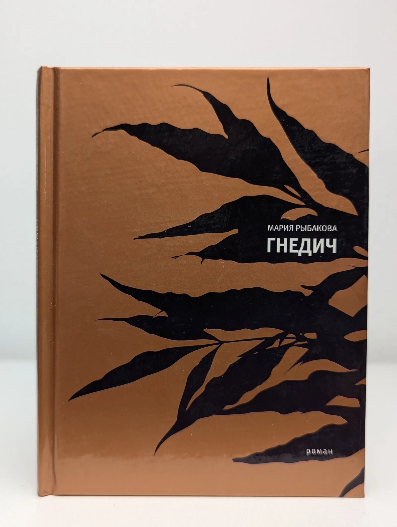 Гнедич Рыбакова Мария 2011