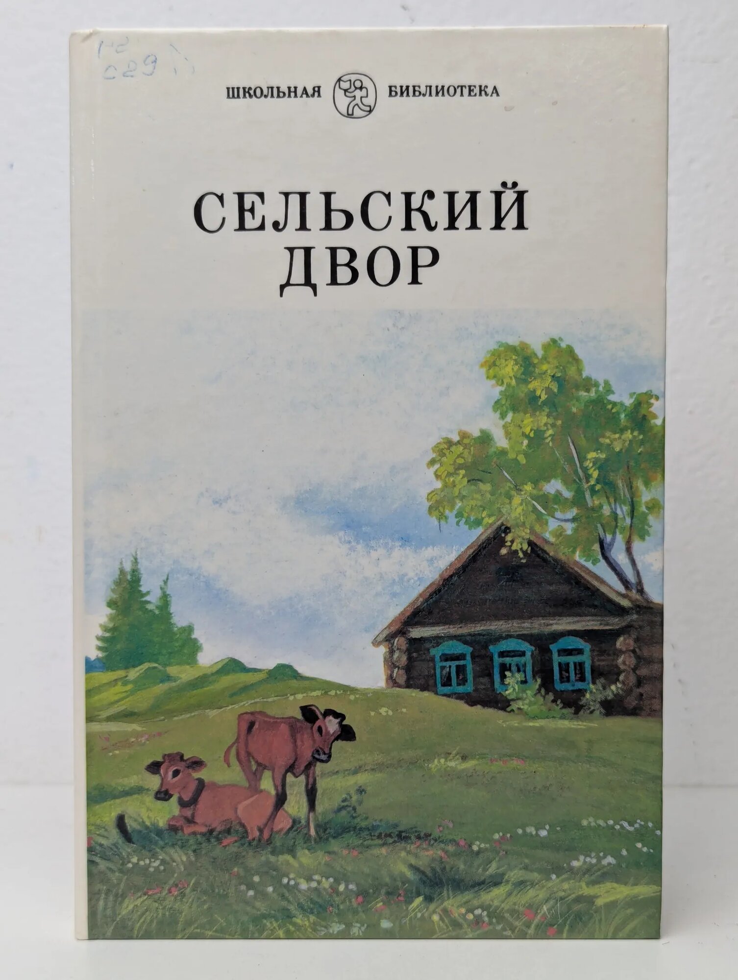 Сельский двор Стрелкова Ирина Ивановна (сост.) 1987