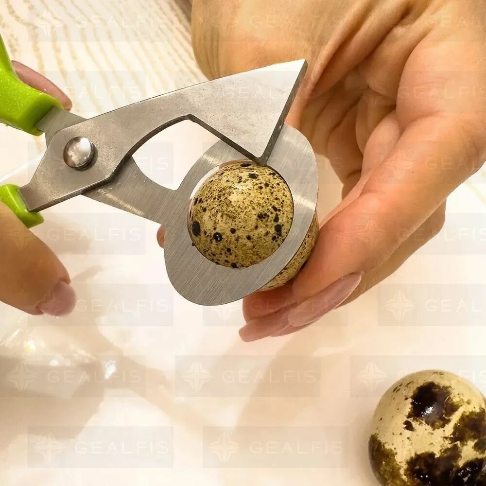 Ножницы кухонные для вскрытия перепелиных яиц Hobbyfarm, 14 см