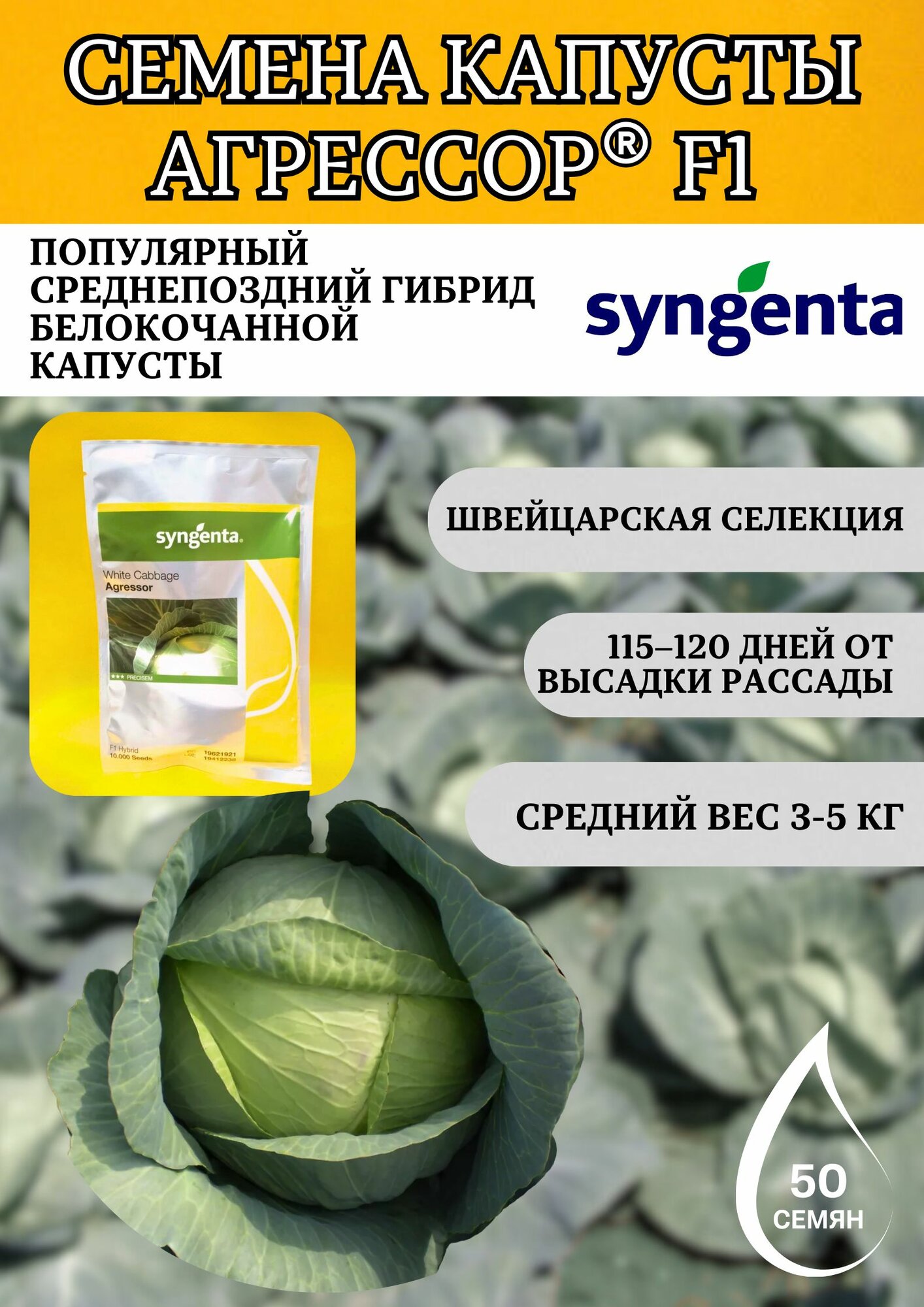 Капуста белокочанная Агрессор F1 50 семян Syngenta, профессиональные семена