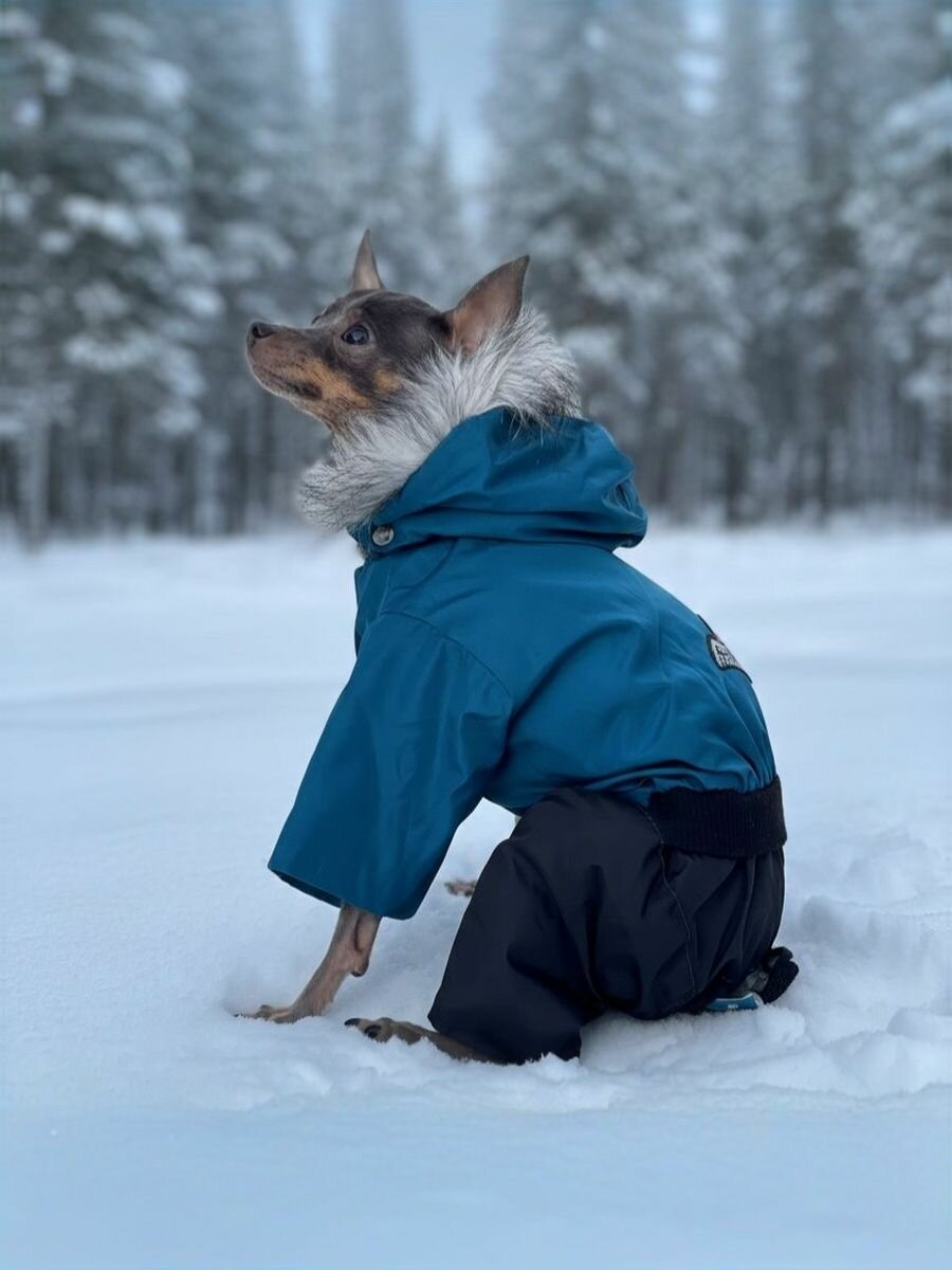 Комбинезон для собак двухцветный утепленный на стёжке