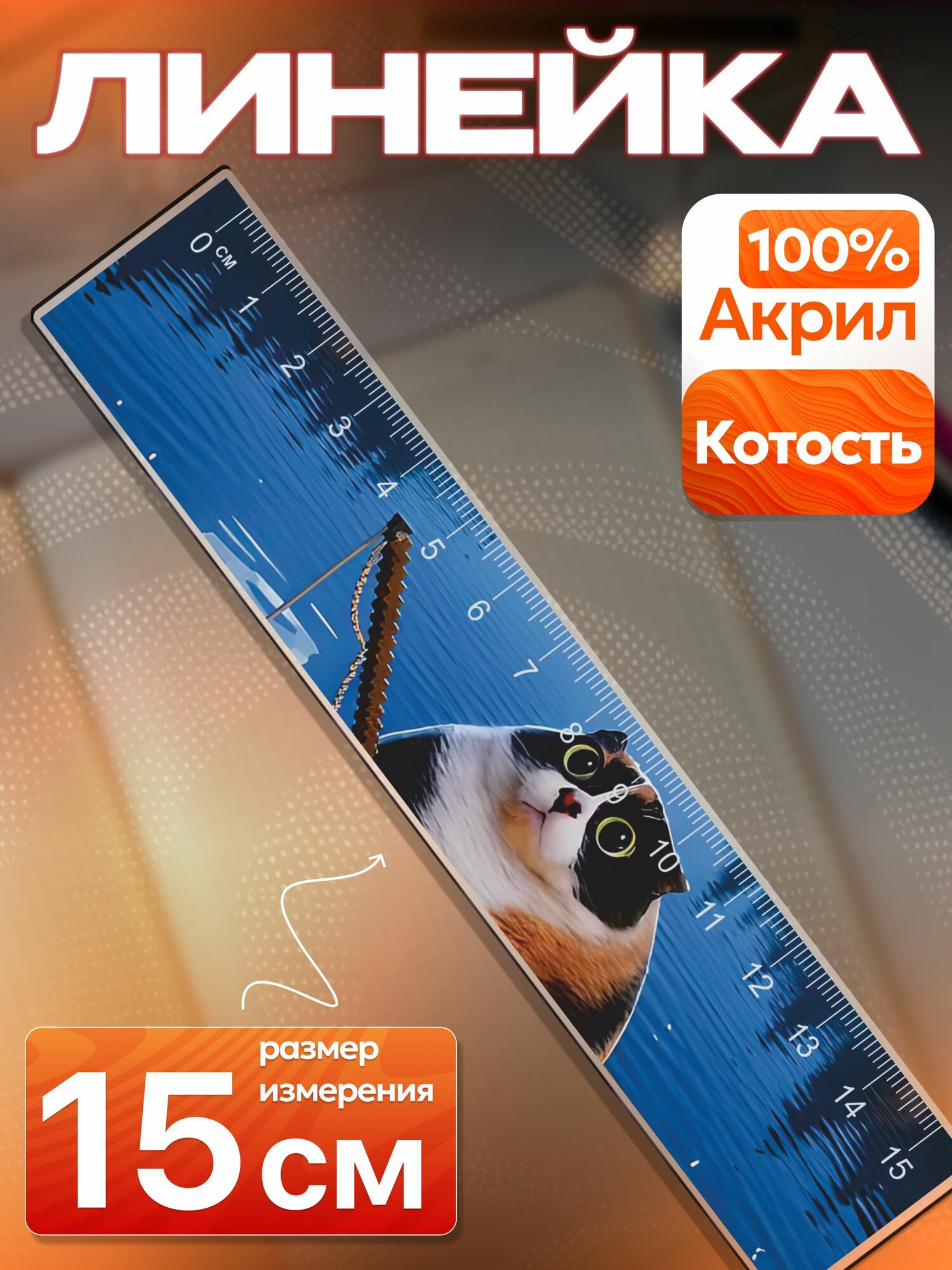 Линейка Котость мем