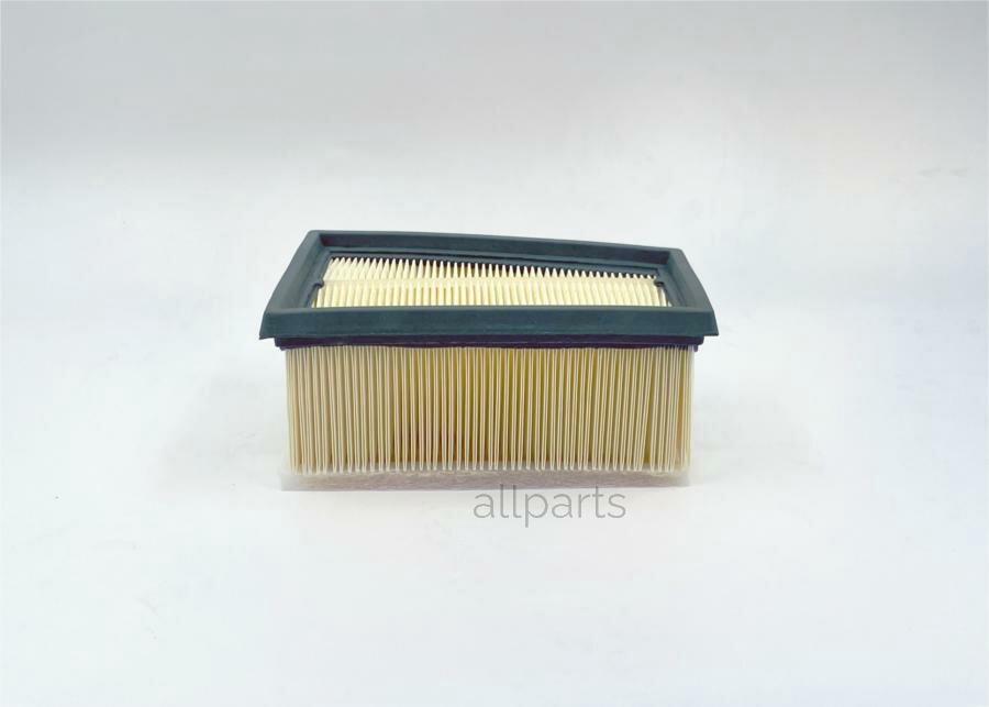 BIG FILTER GB9719 Фильтр воздушный Биг GB-9719