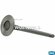 WOZ1009LS KRAUF Клапан выпускной AUDI/VW 2.7TDi-4.2TDi