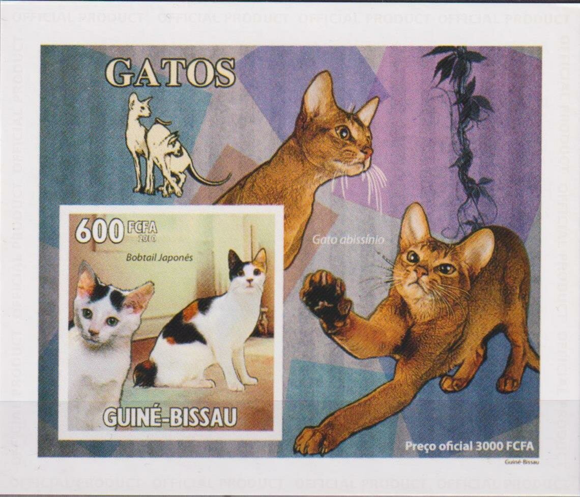 Почтовые марки Гвинея-Бисау 2010г. "Домашние кошки - люкс блок" Кошки MNH