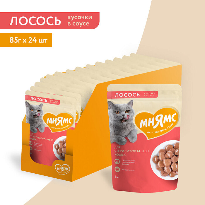 Влажный корм Мнямс Кусочки в соусе с лососем для стерилизованных кошек, 24 шт х 85 гр
