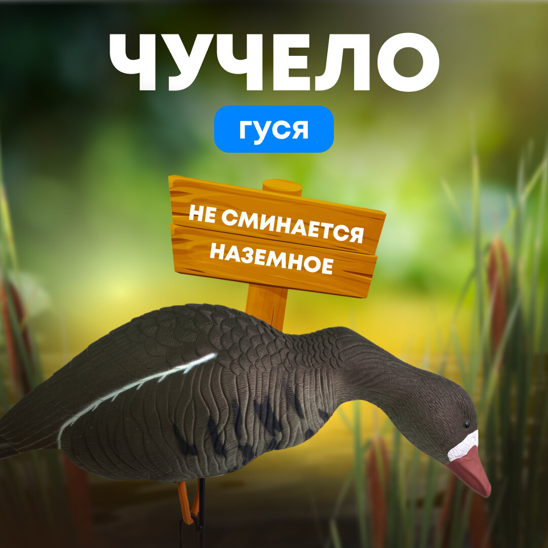 Подсадной гусь Taigan Goose кормящийся на стальном основании