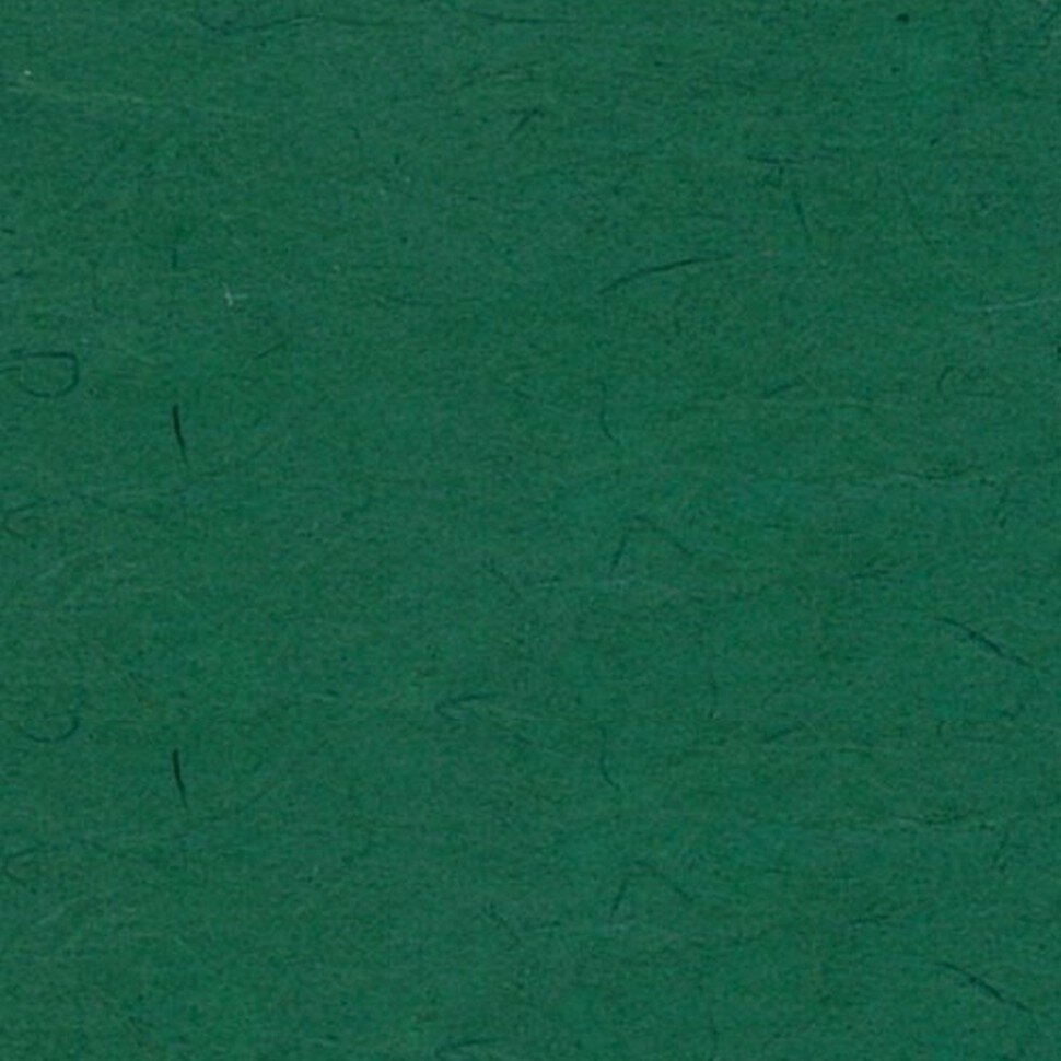 #DFSC010 Бумага рисовая однотонная 48 x 33 см Stamperia