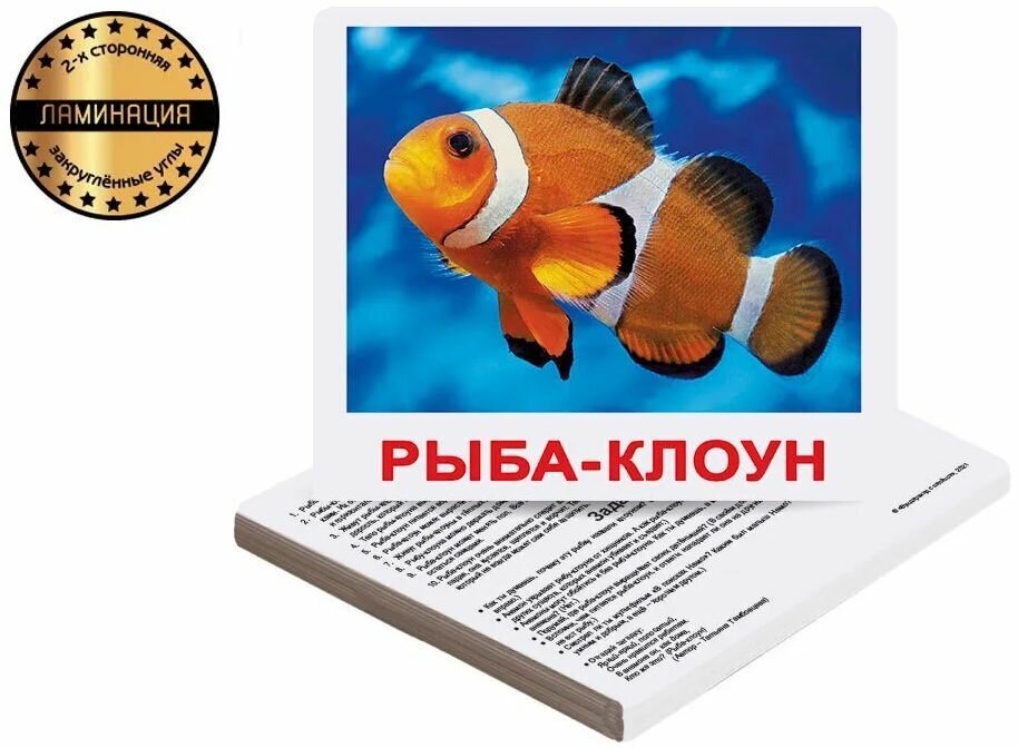 Обучающие карточки Вундеркинд с пеленок "Обитатели воды", 10 ламинированных карточек Домана с фактами и заданиями, 16,5х19,5 см