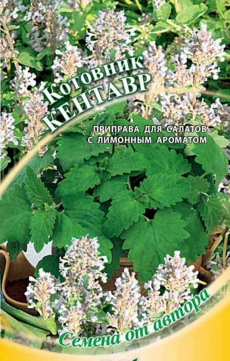 Семена Котовник Кентавр