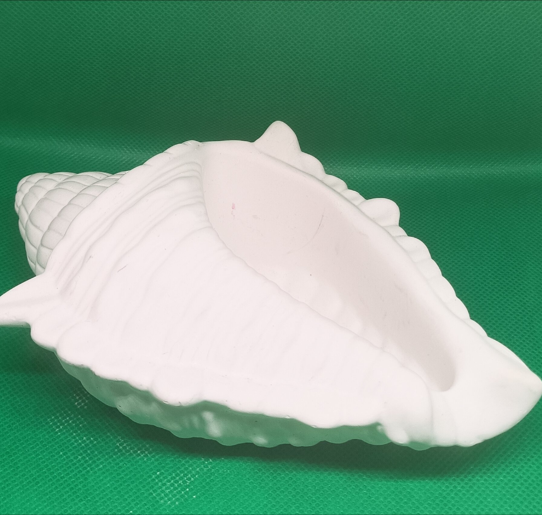 Ракушка из гипса