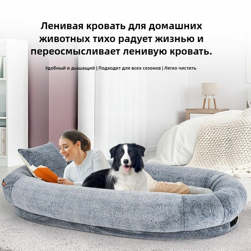 Лазанская. divan-кровать для совместного отдыха с домашними животными
