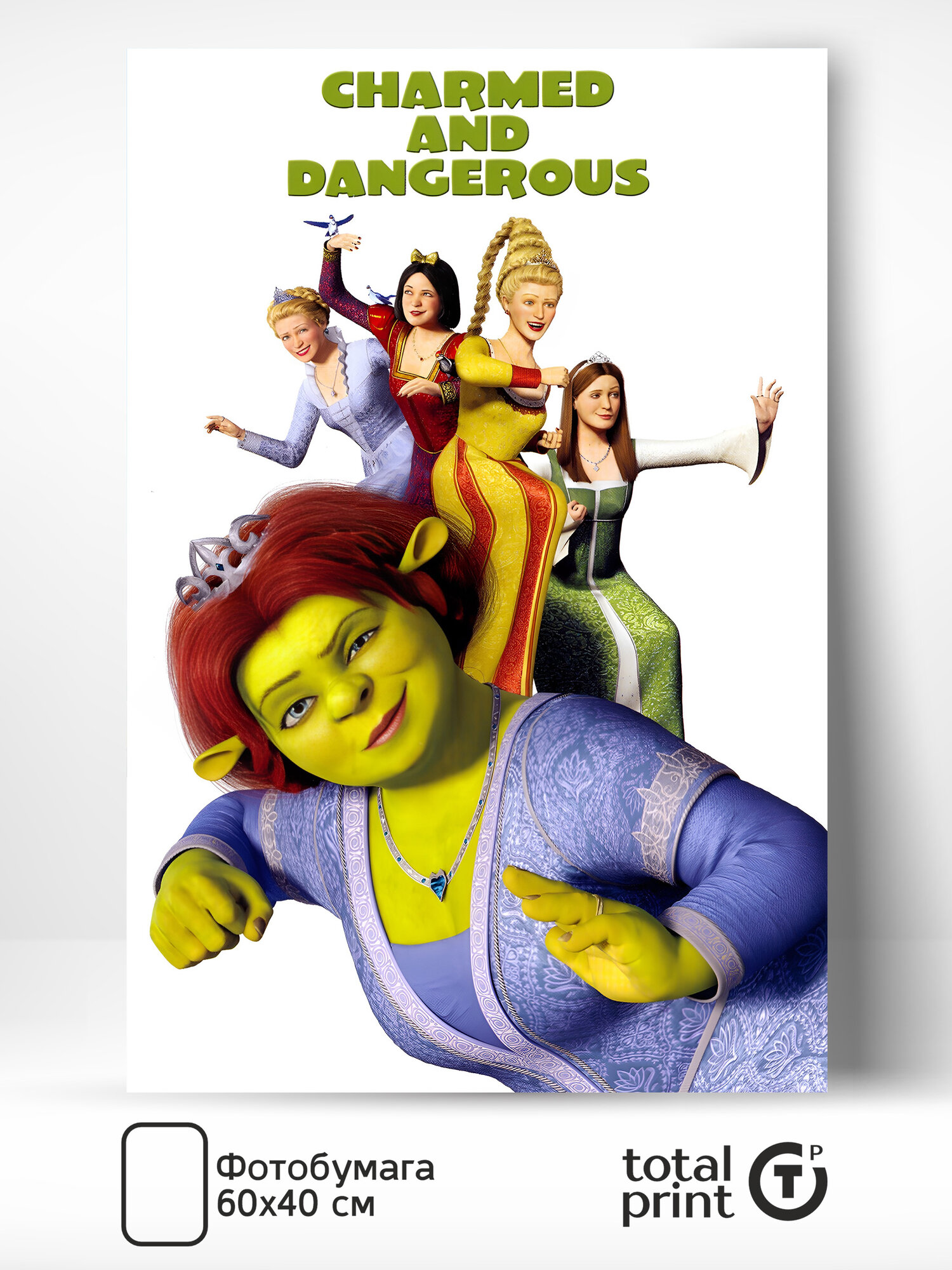 TotalPrint Постер для интерьера, Мультфильм, Шрек, 60х40см.