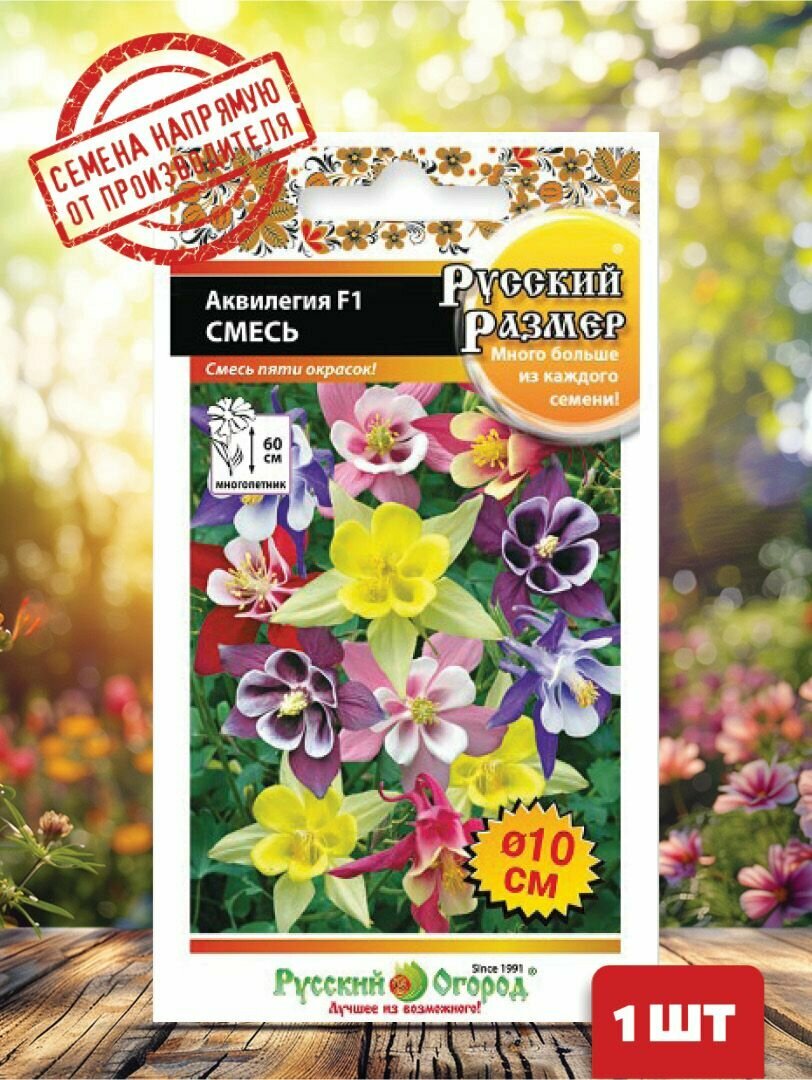 Аквилегия многолетняя сорт F1 Русский Размер, смесь 5 шт. Семена цветов. Русский Огород.