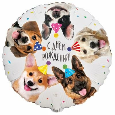Воздушный шар фольгированный весёлая затея круглый, с рисунком, 18", С днем рождения! собачки фотографичные