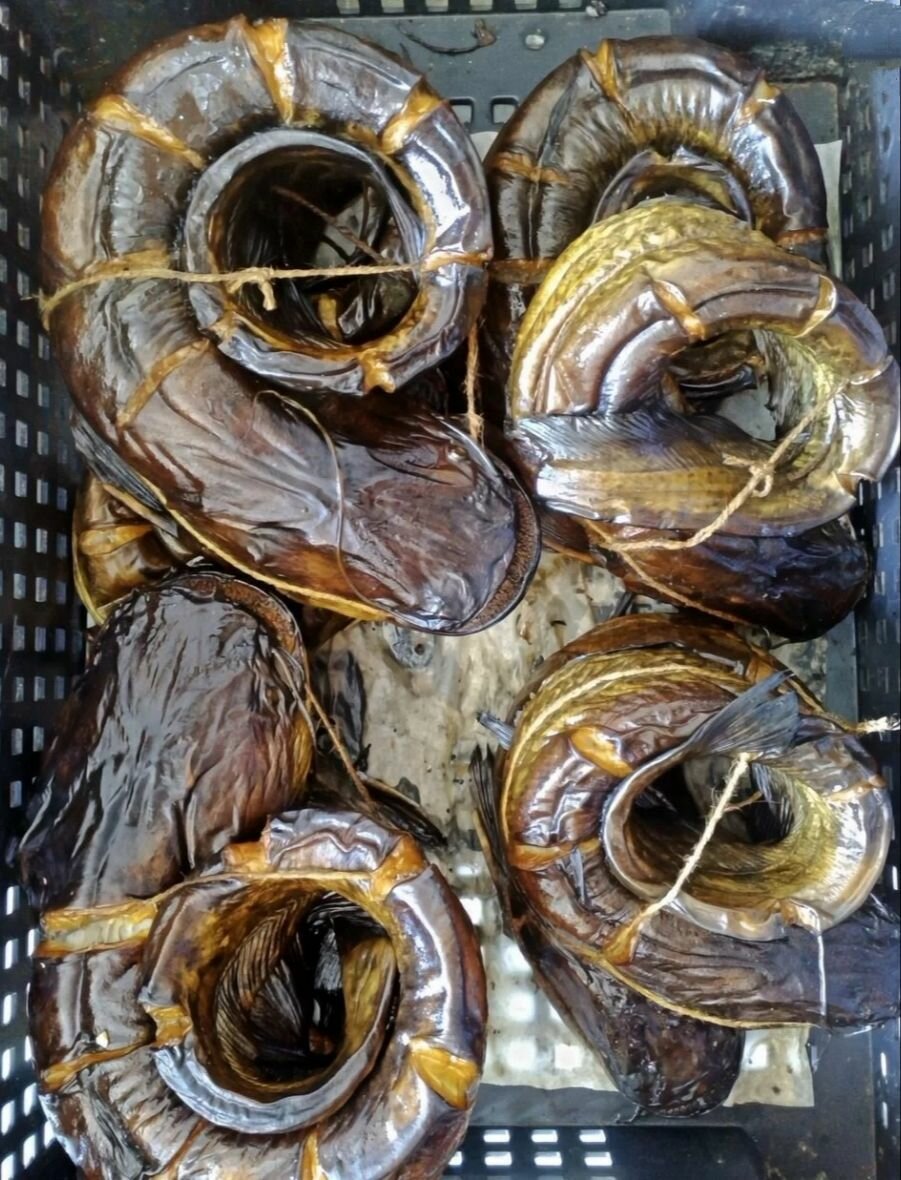 Сом-кольцо 6кг. х/к в/уп