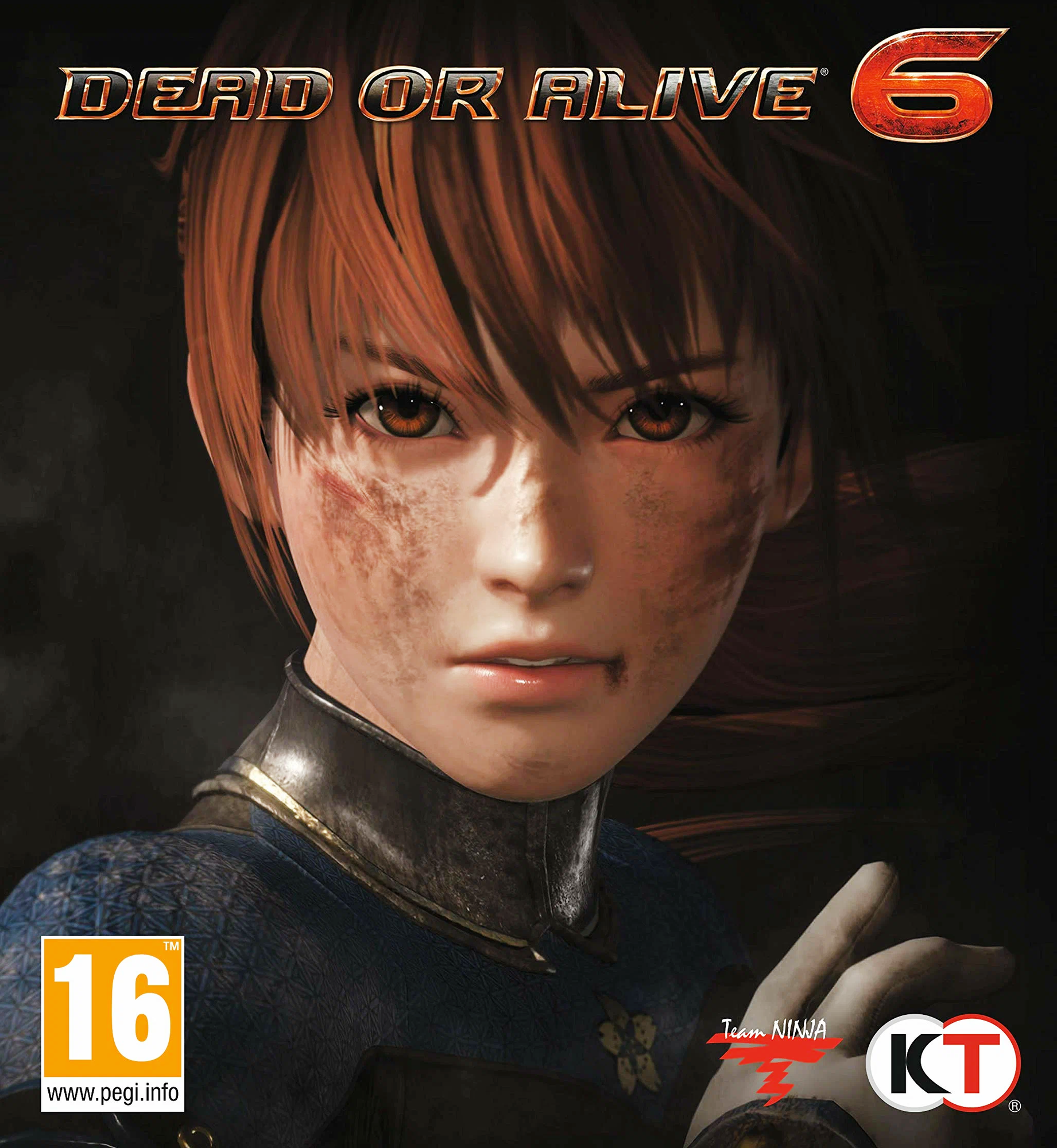 Игра Dead or Alive 6 / Steam / Все страны