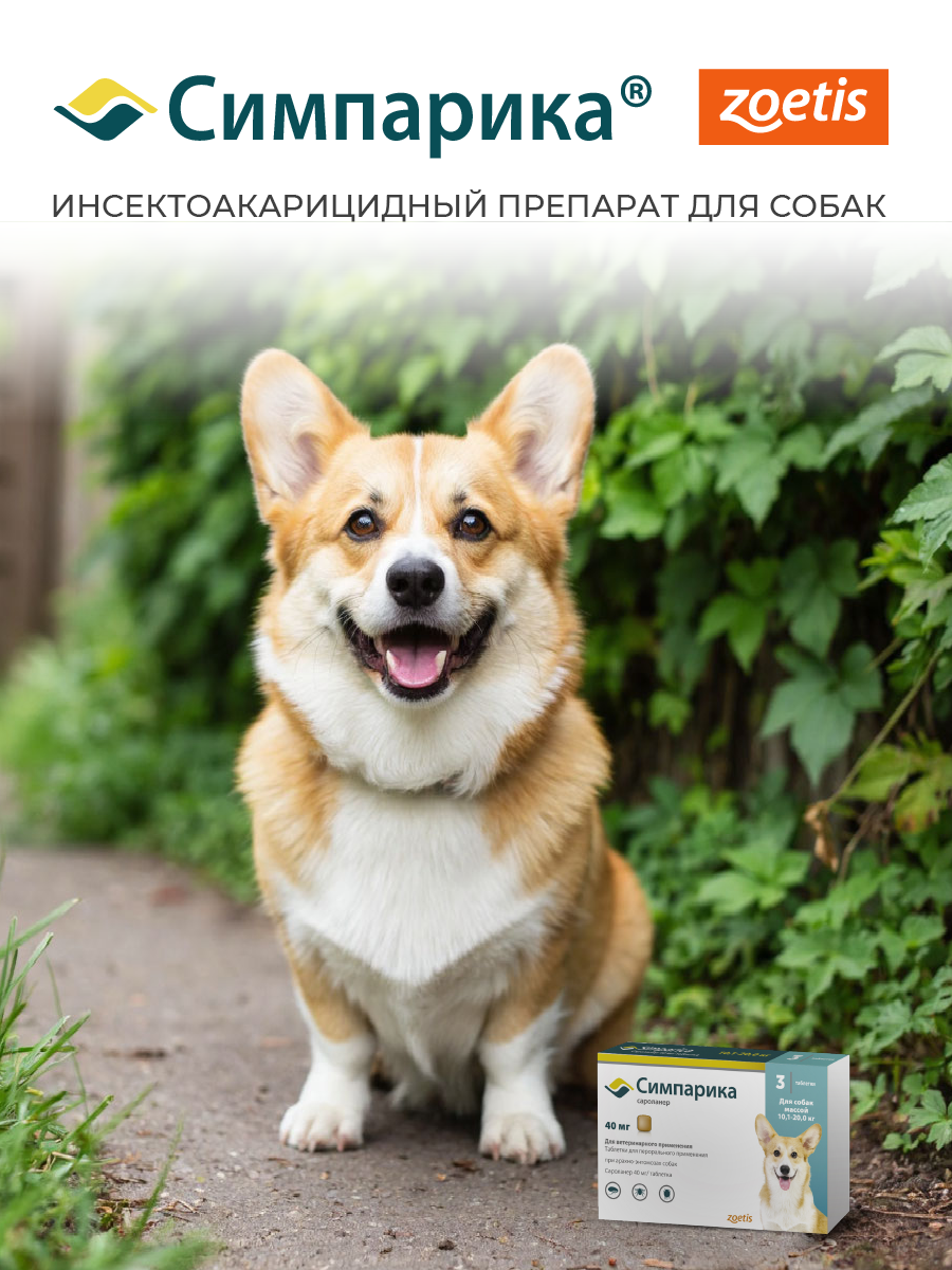 Симпарика 40 мг 3 таблетки, против блох и клещей для собак (10,1-20 кг), коробка — фото 1