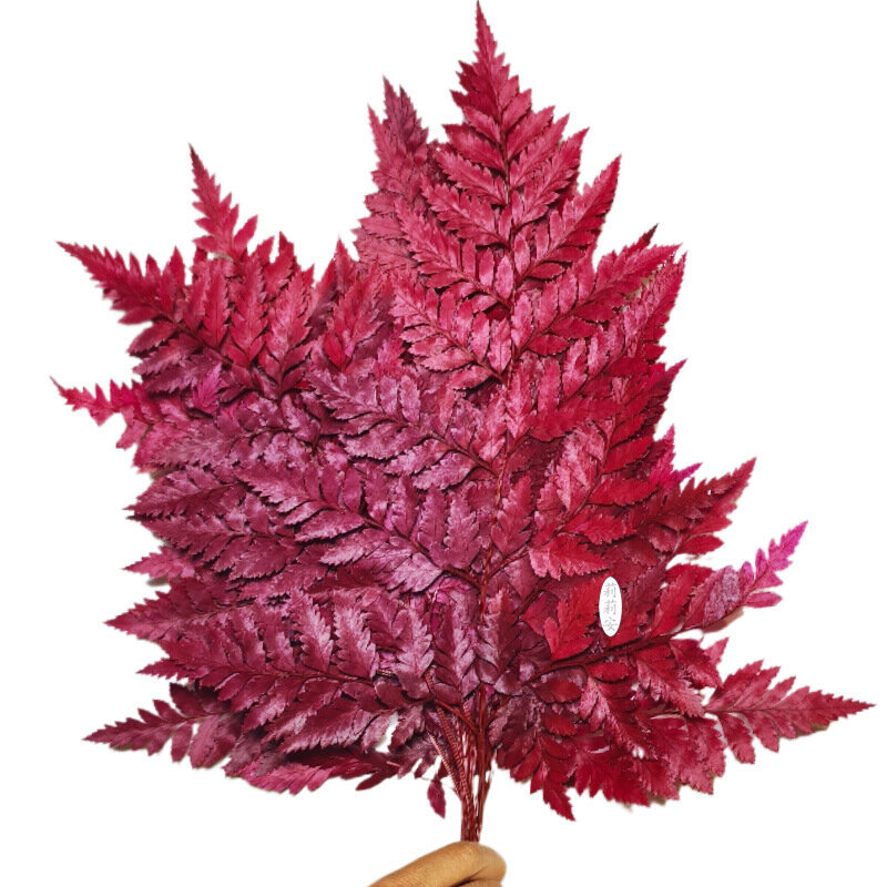 Вечные листья папоротника, сухие цветы, настоящие цветы, свадебная композиция, цветочная композиция, декор, листья Юньнаня, реквизит для фото, венозные сухие цветы, прессованные цветы