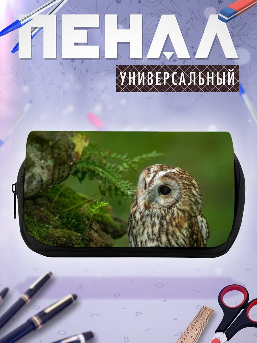 Школьный пенал сова птица