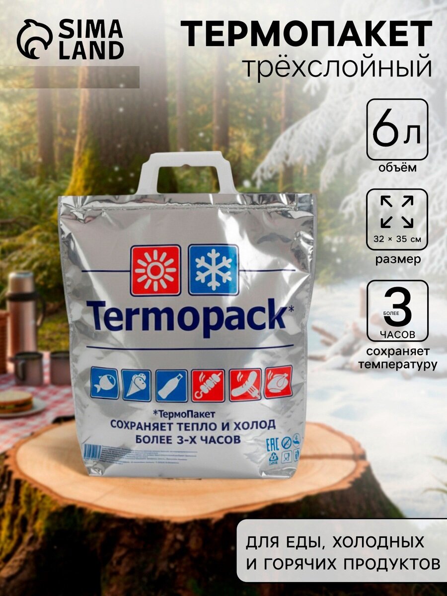 Термопакет Termopack Mini, 32х35 см, серебристый, для хранения продуктов