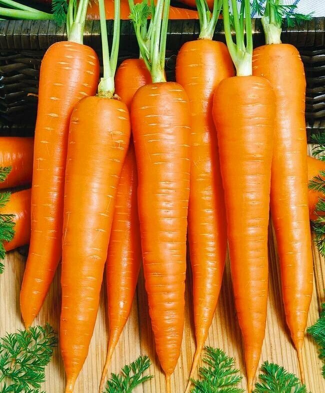 Коллекционные семена моркови Оранжевый карандаш