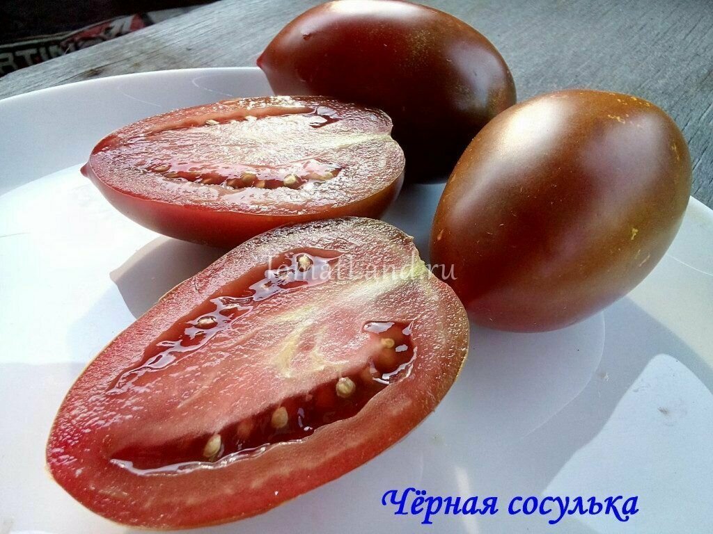 Коллекционные семена томата Сосулька чёрная