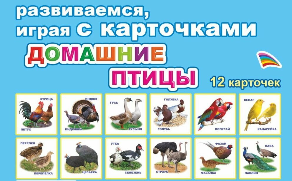 Карточки домашние птицы: 12 шт. в комплекте. Развивающие карточки для детей дошкольного и младшего школьного возраста, Леда-Алфея