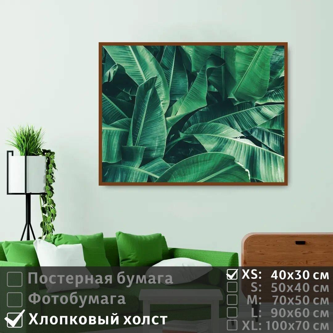 Постер на холсте Тропические Банановые Листья 40х30 см ПолиЦентр