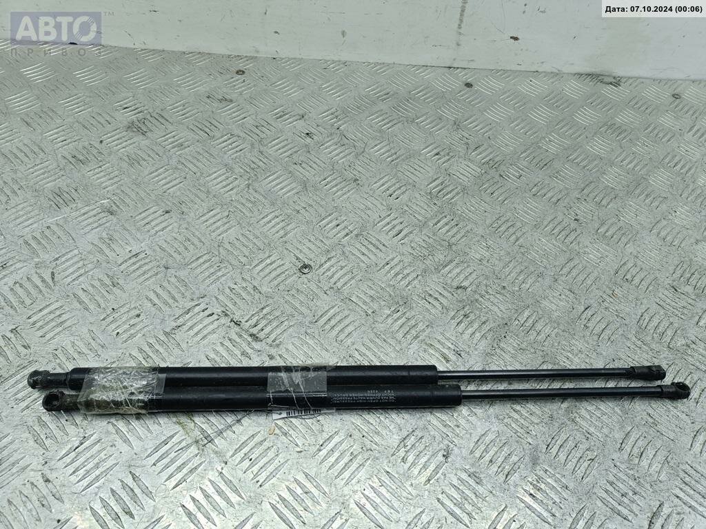 Амортизатор крышки (двери) багажника Renault Scenic 2 (2003-2009)