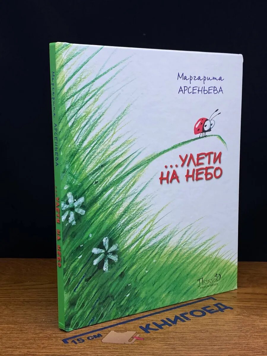 Книга. Улети на небо 2013 (2041056817219)