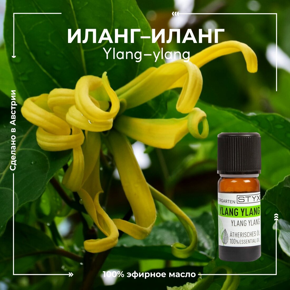 Иланг-иланг эфирное масло STYX (Стикс) 10 мл