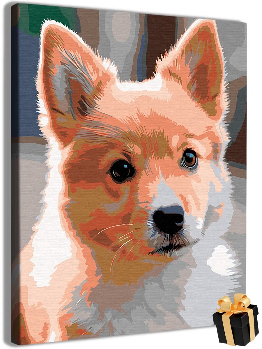 Картины по номерам Корги