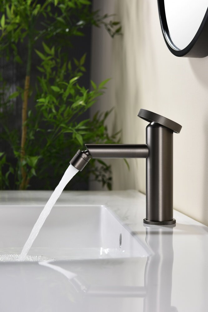 Смеситель для биде и раковины однорычажный литой из латуни от бренда Ganzer GZ19151-Q графит